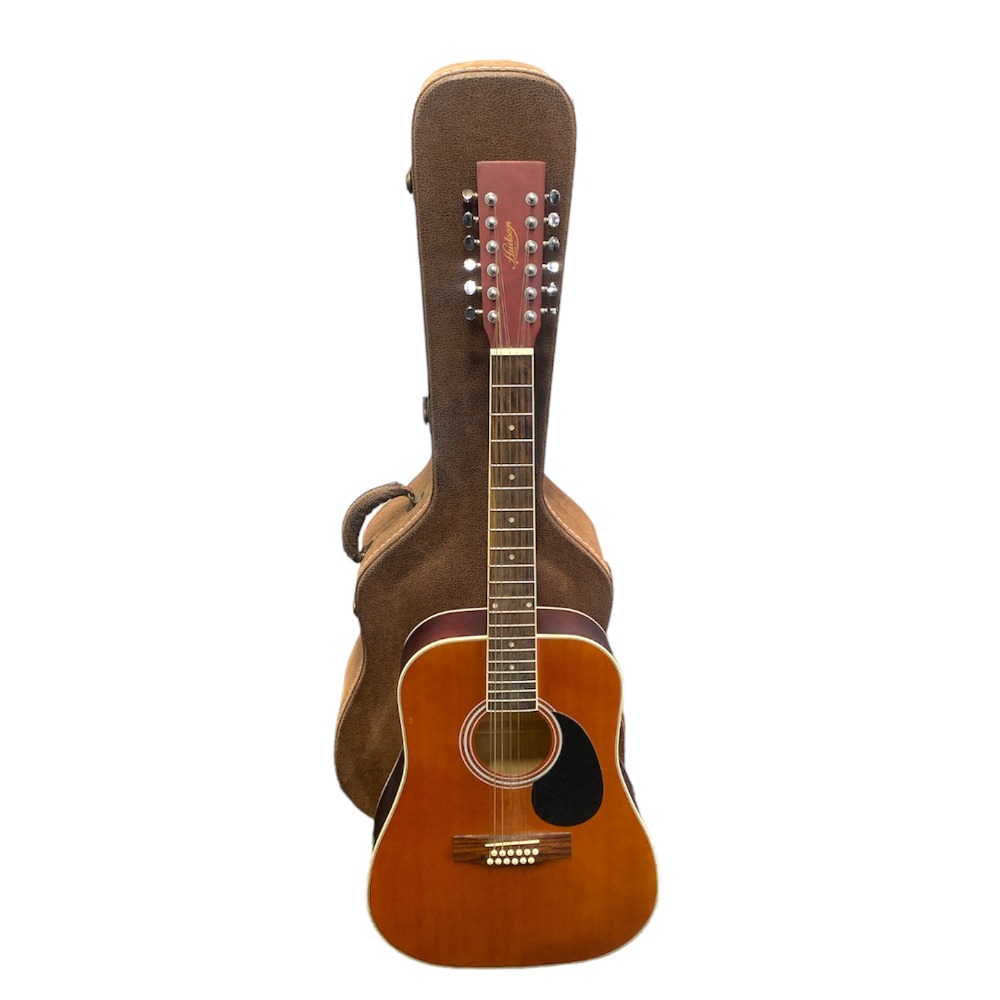 HUDSON 12 STRING Acoustic Guitar *MISSING ONE STRING* - Own4Less